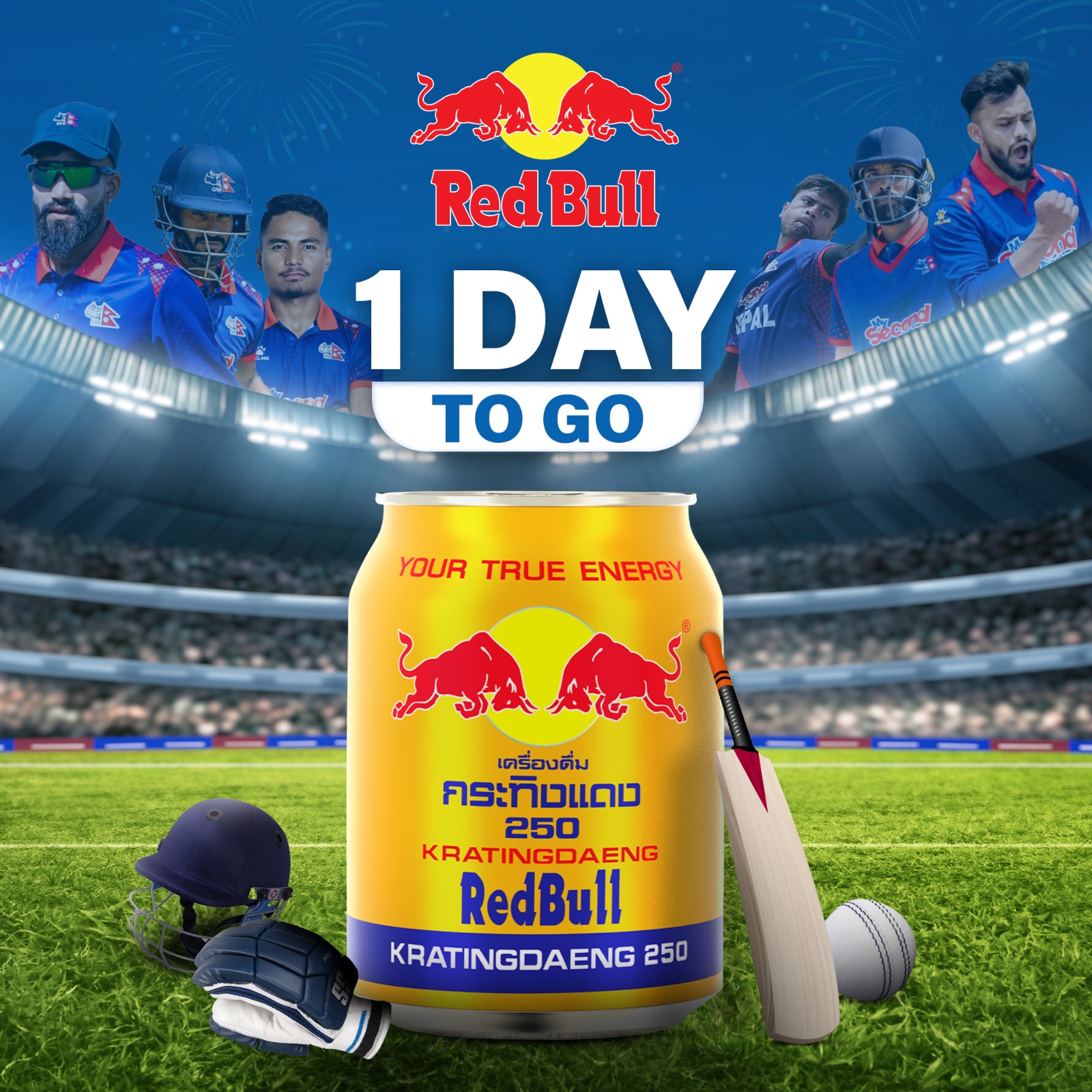 Red Bull | Your True Energy