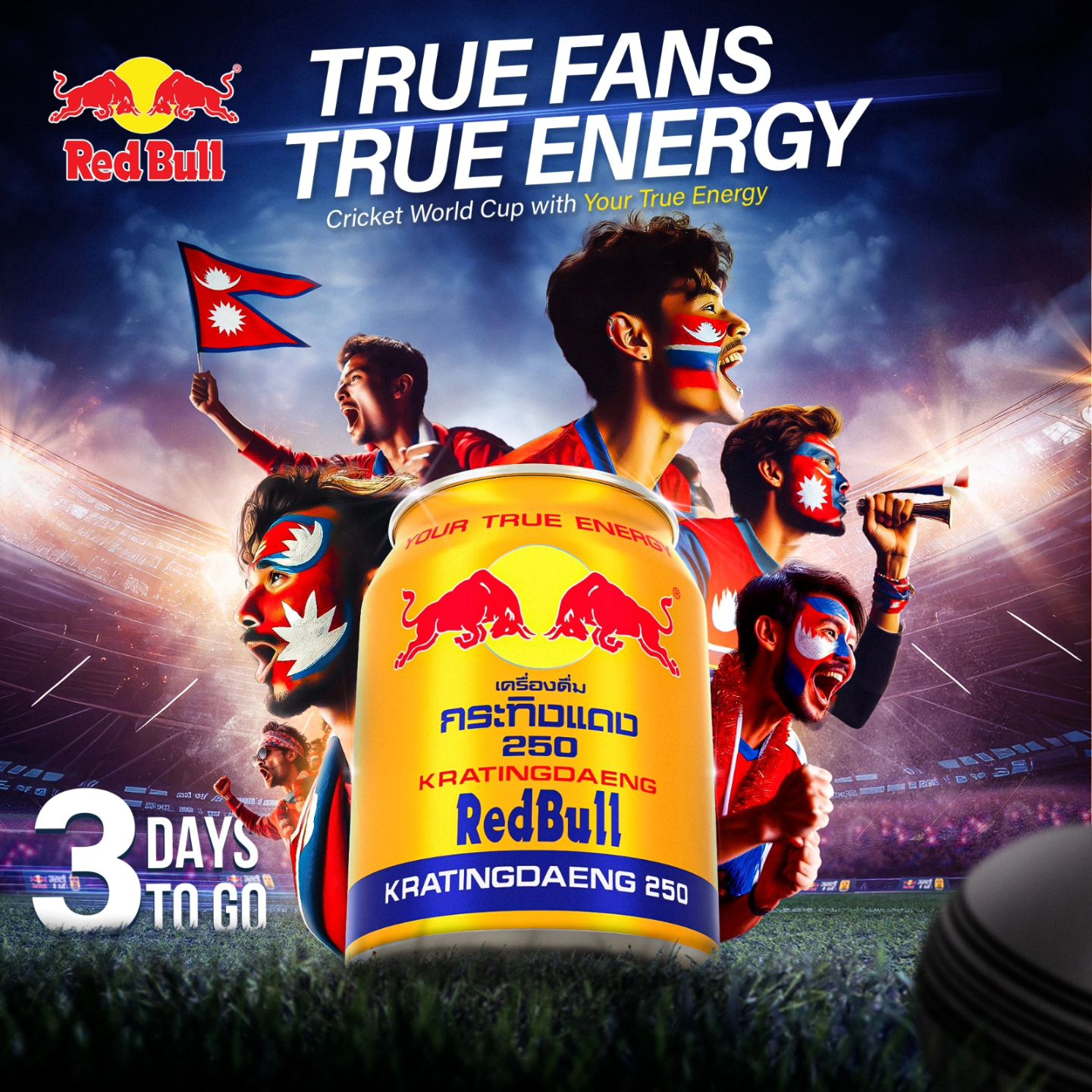 Red Bull | Your True Energy